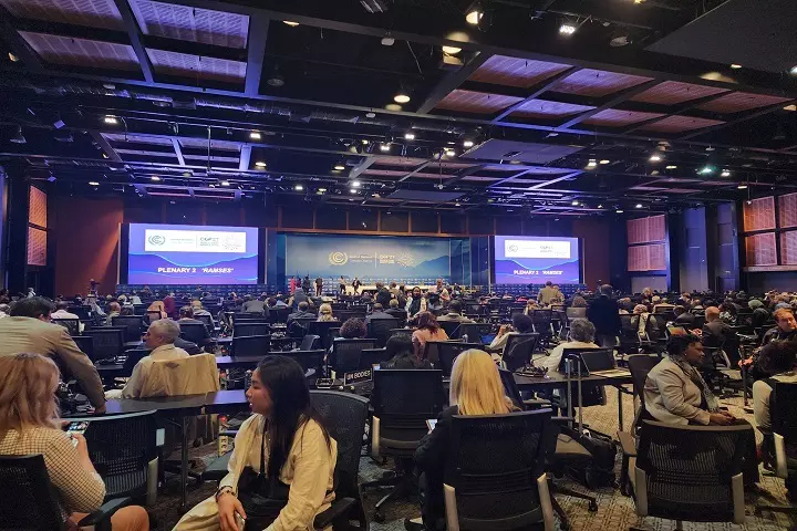 Griffith University, Brisbane: Admission, Courses, Fees, Ranking, Scholarship, Eligibility